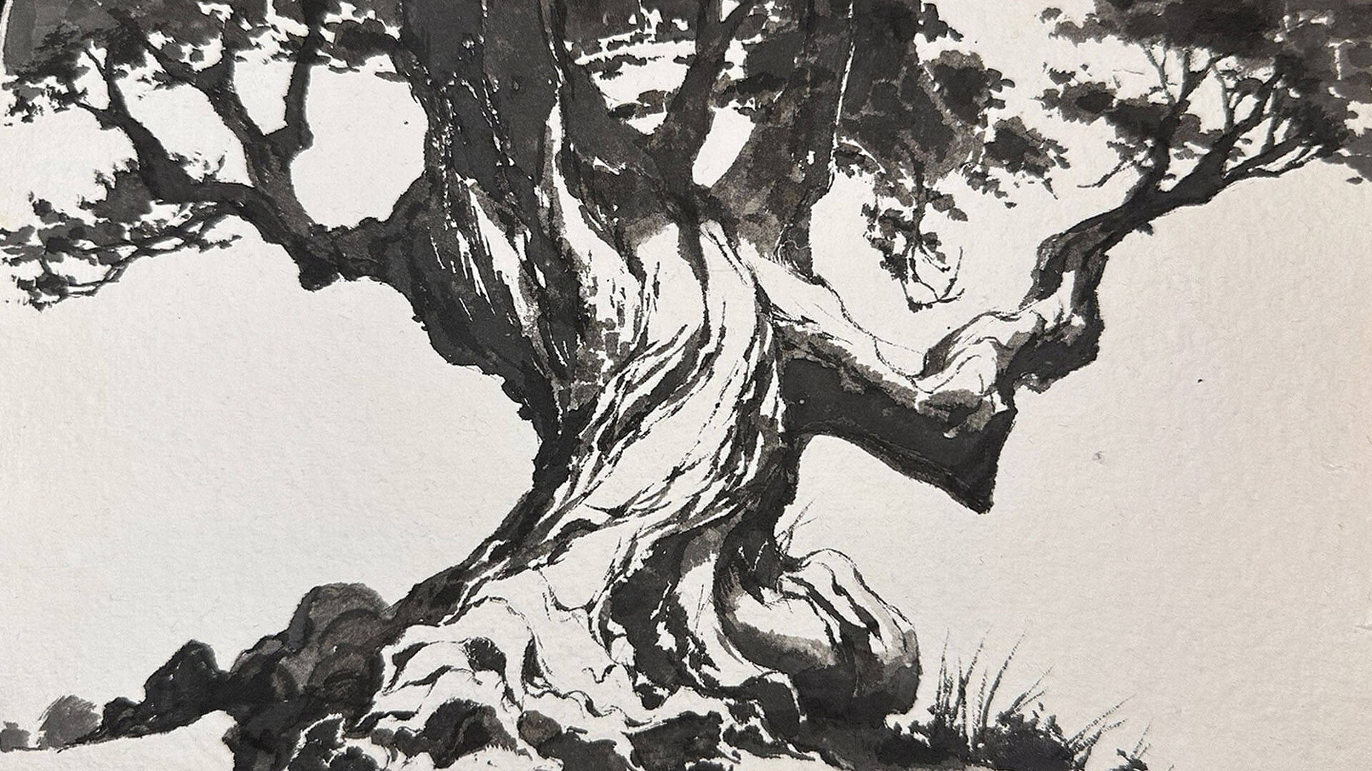 Texture and Detail | Ink Sketching: Landscapes | Learn Squared