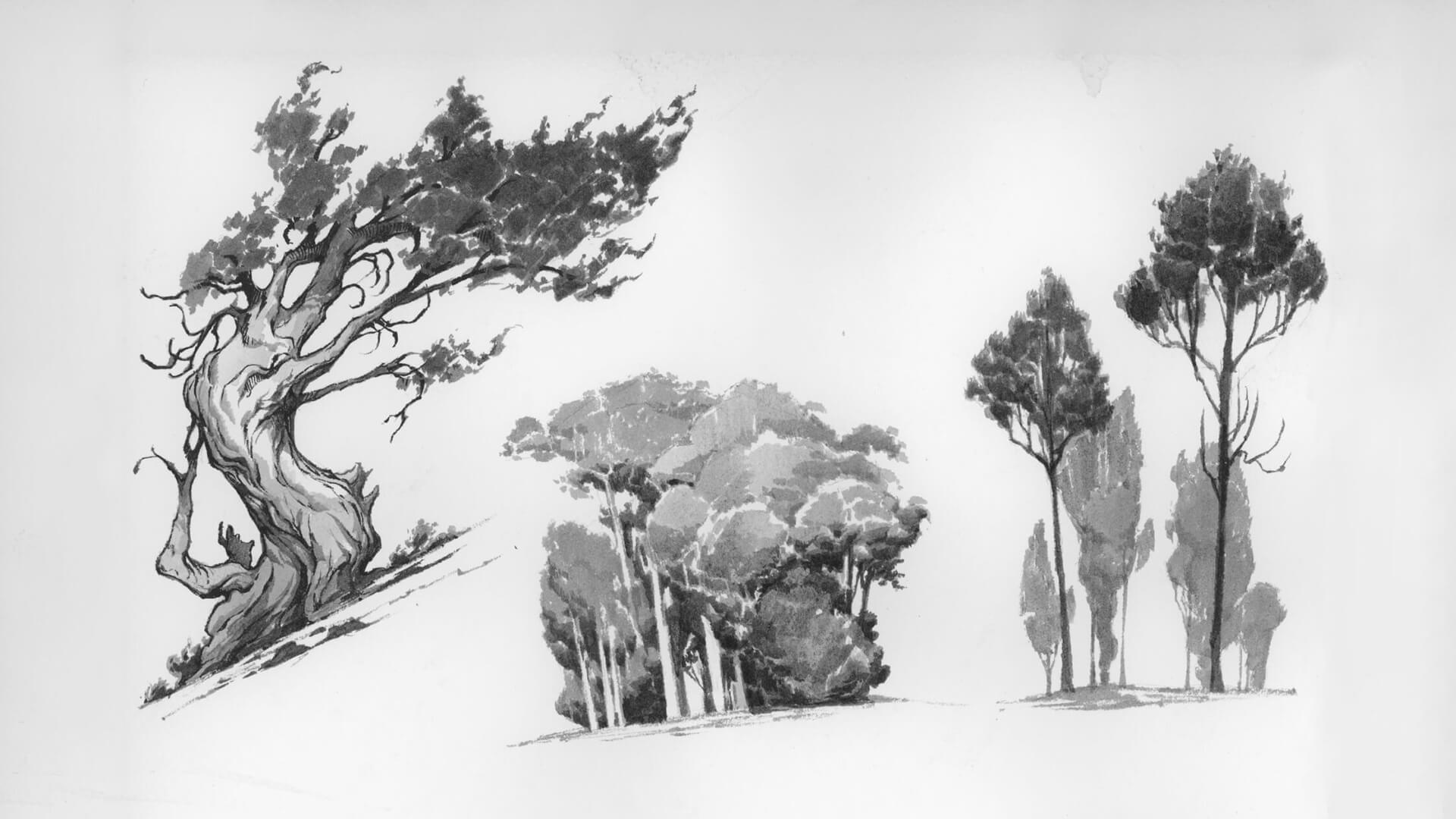 Ink Sketching: Landscapes | Aaron Limonick | Learn Squared